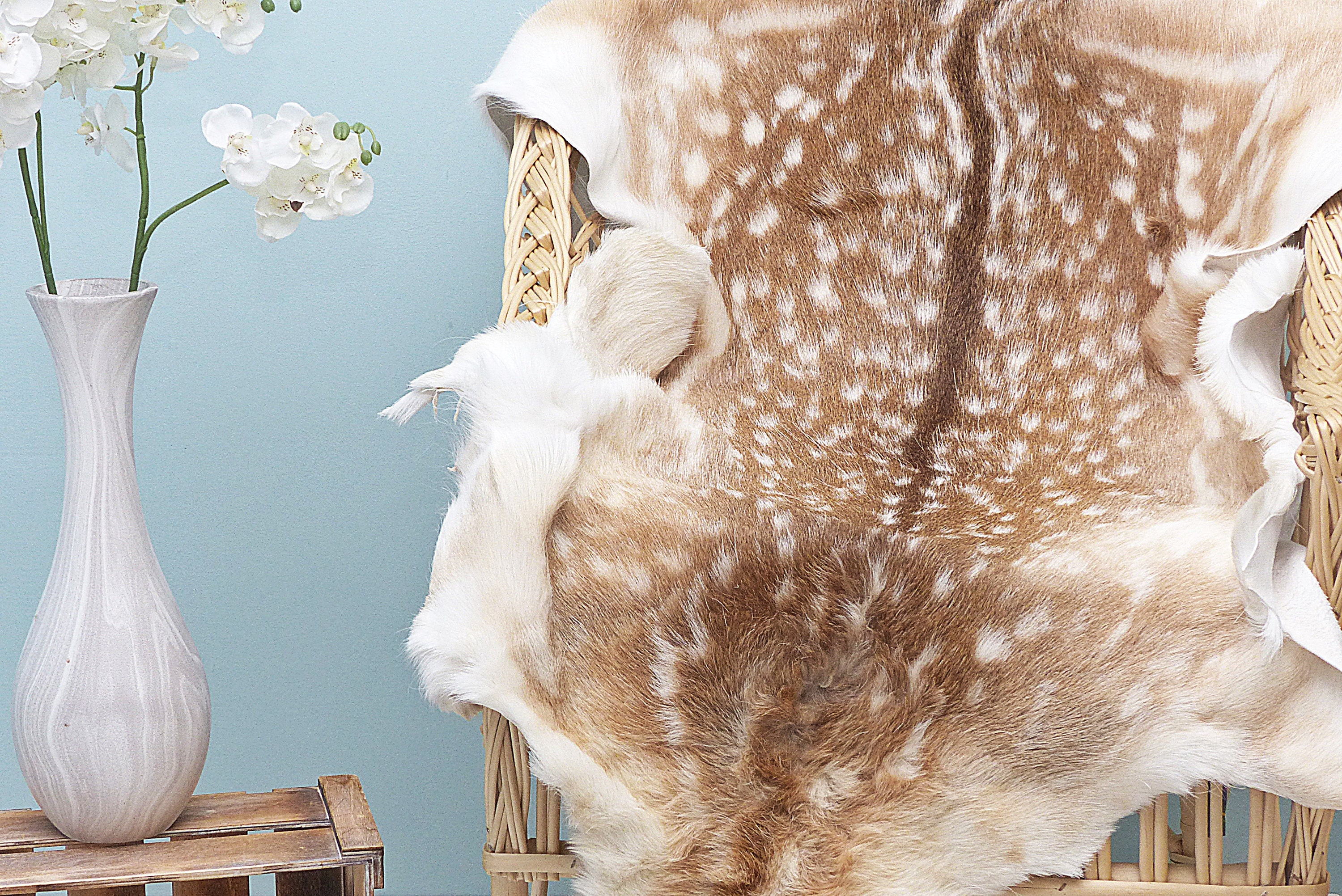 Authentic Fallow Deer Carpet Real Fallow Deer Rug Genuine | Etsy