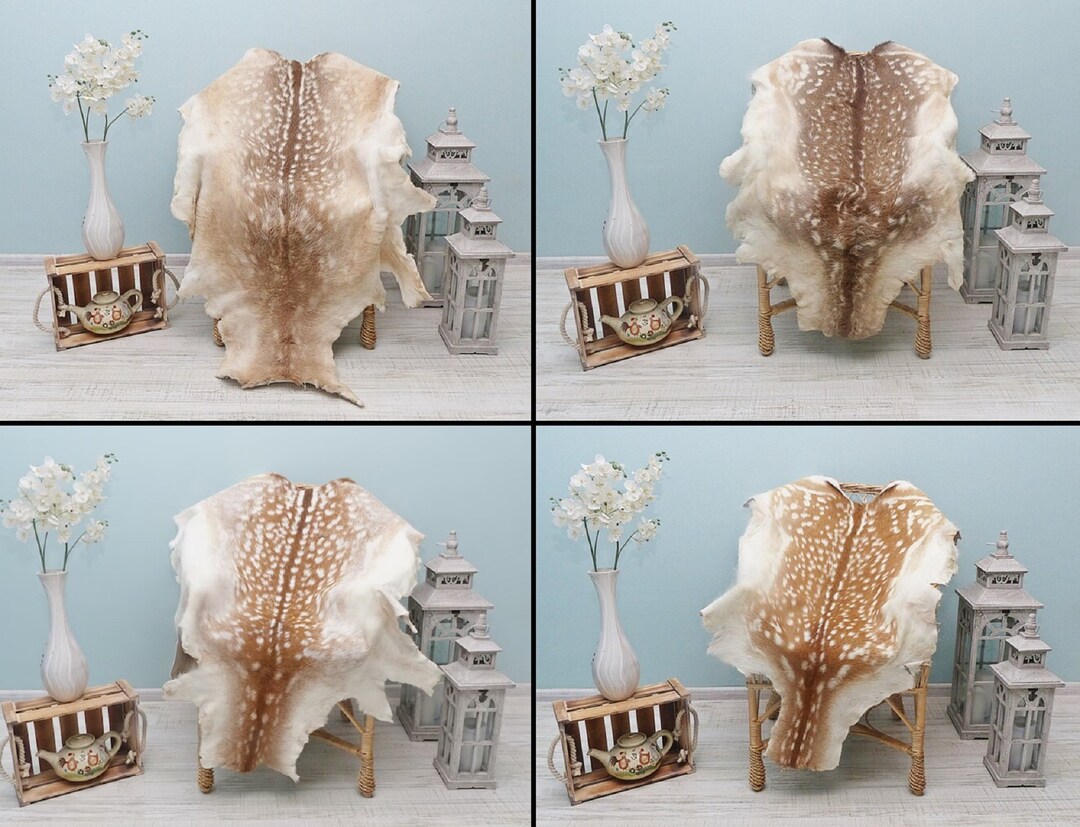 Authentic Fallow Deer Carpet, Mountain Chalet Room Additions Taxidermy ...