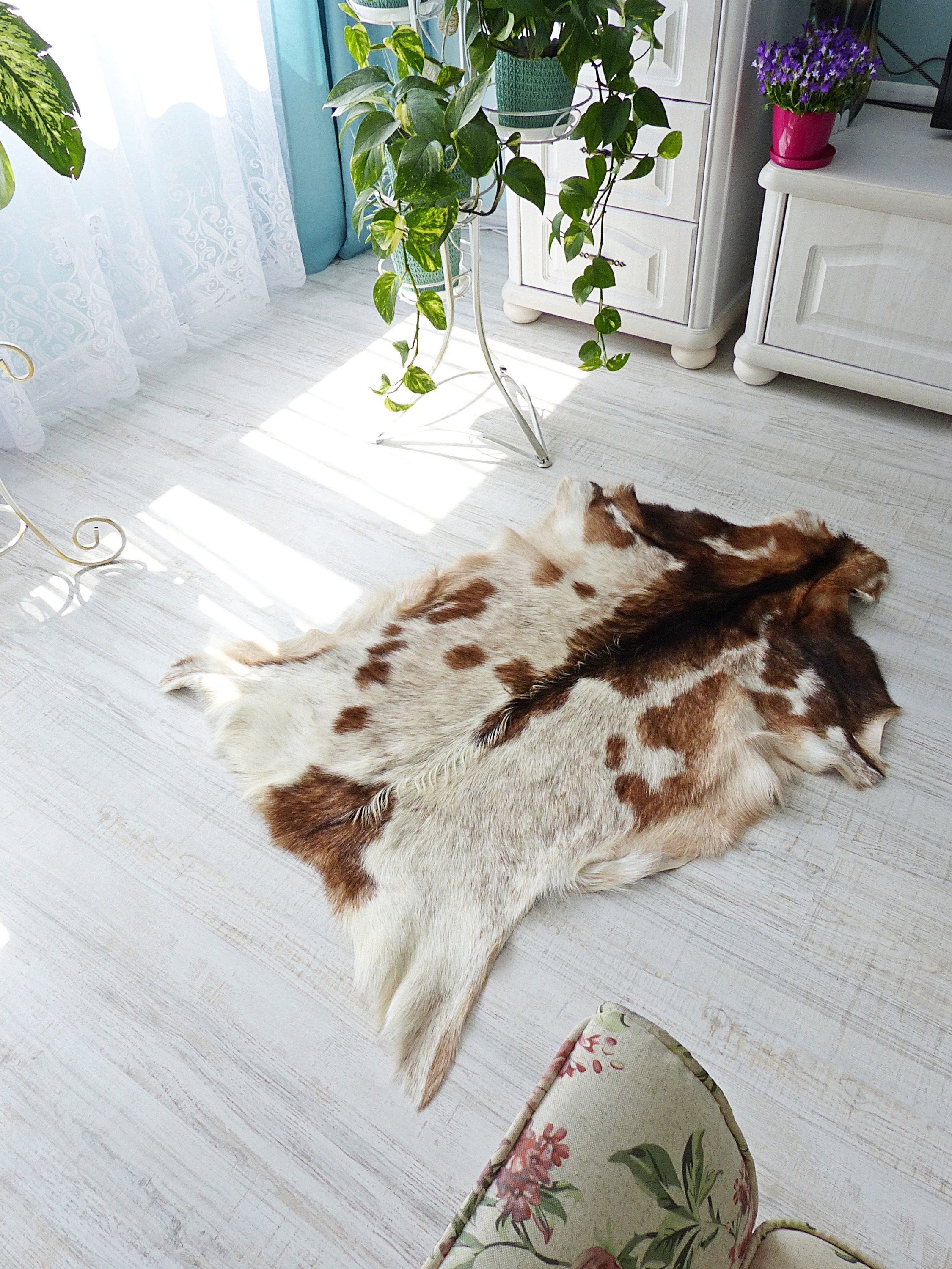 Natural Goat Skin Rug Humanely Sourced Animal Pelt Genuine | Etsy