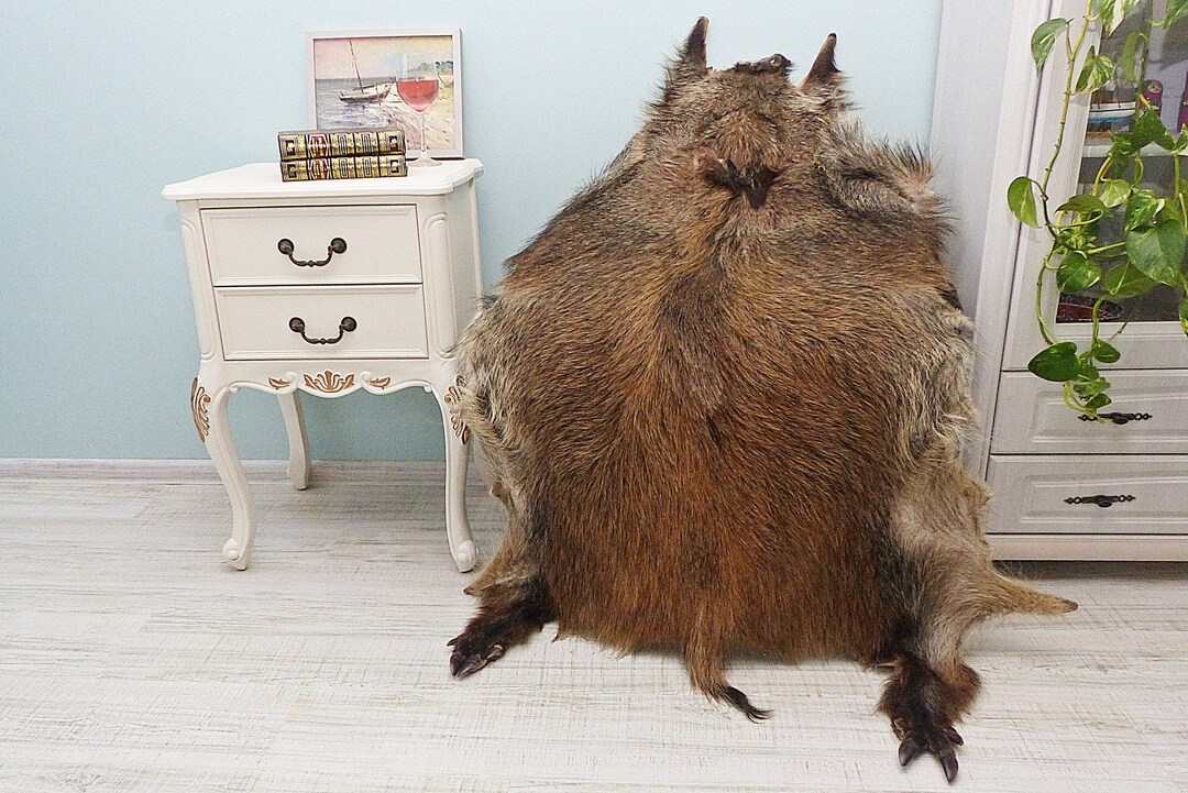 Wild European Boar Hide, Natural Wild Pig Taxidermy, Boar With Hooves ...