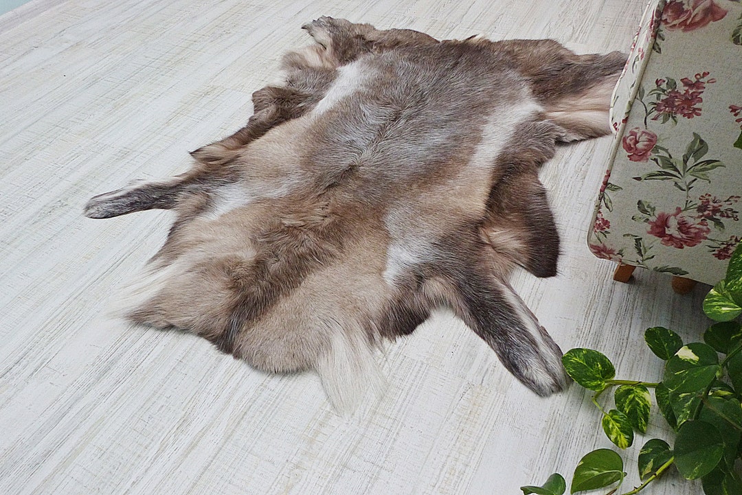Real Caribou A-grade Reindeer Throw Rug Viking Larp Scandinavian ...