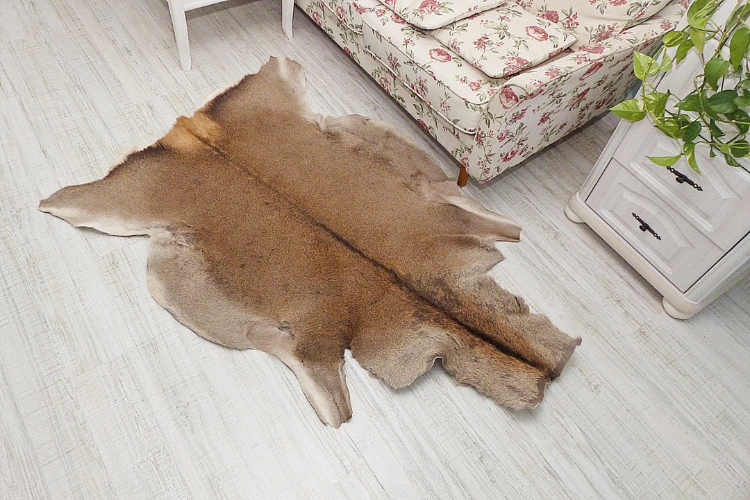 Authentic Deer Hide, Taxidermy Wall Decor, Hunting Room Design ...