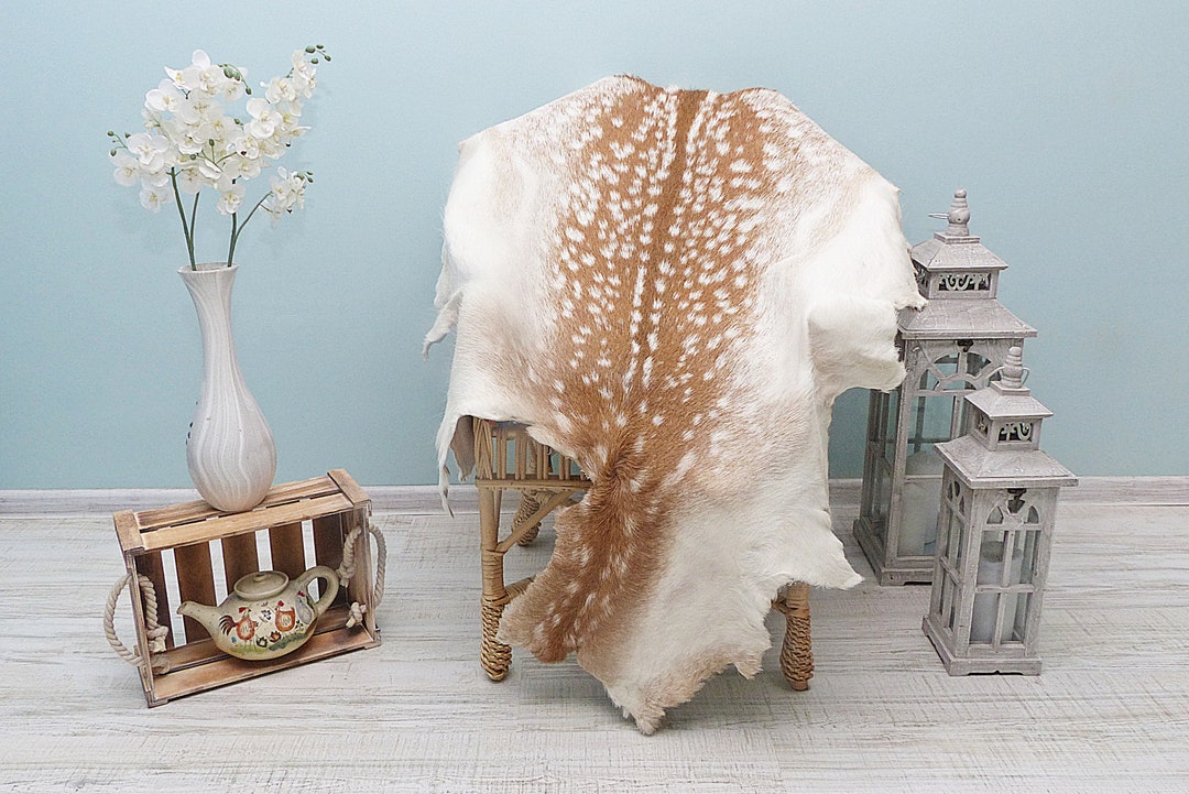 Real Fallow Deer Hide Rug: Ethically Sourced Taxidermy, Cottagecore Decor (57x43 Inches) - Etsy ...