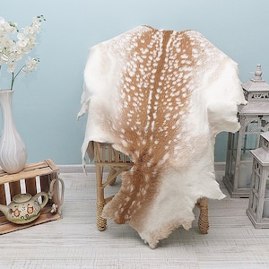 Real Fallow Deer Carpet Father's Day Gift Taxidermy Decoration,hunter ...