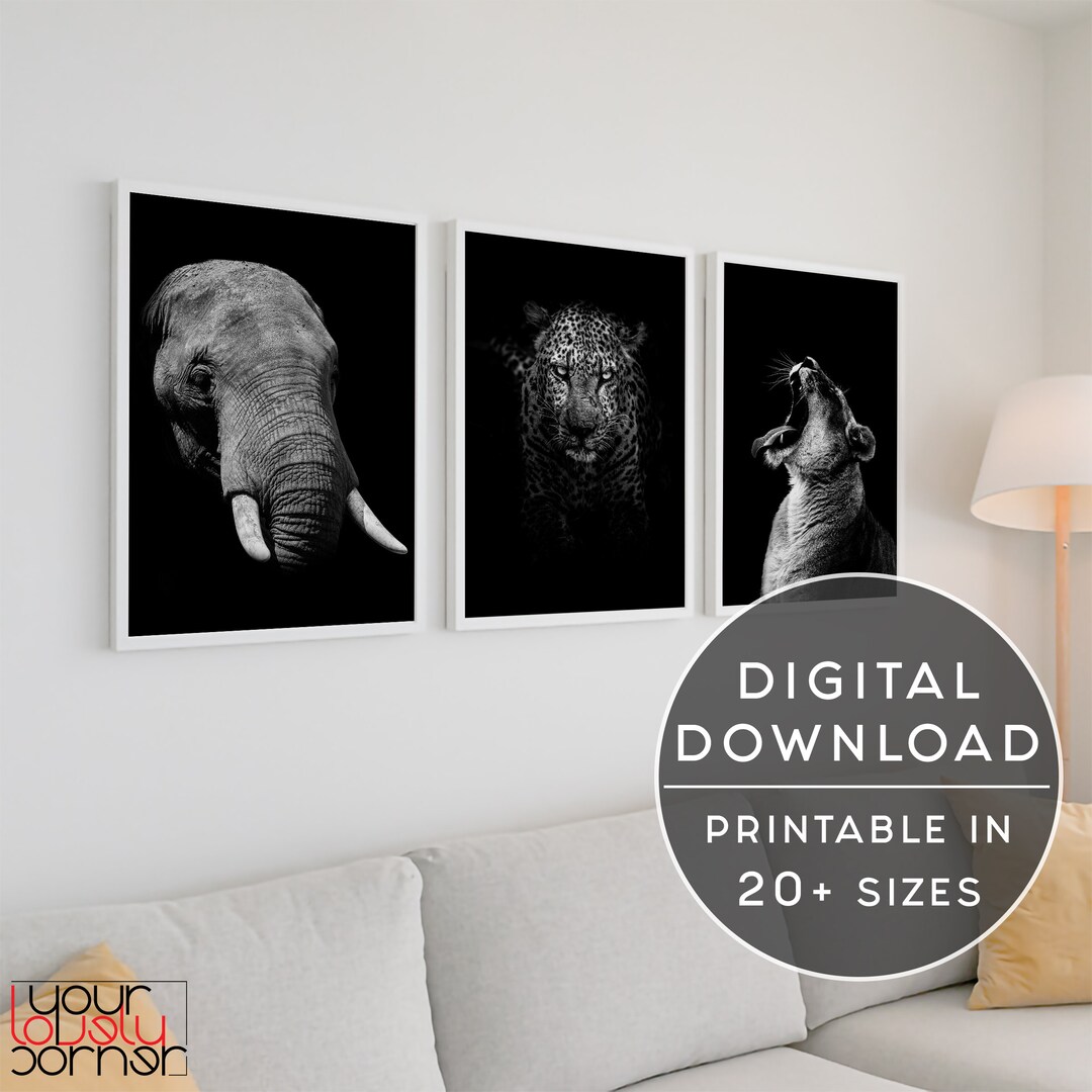 Black and White Safari Animal Prints: Set of 3 (digital Download) - Etsy