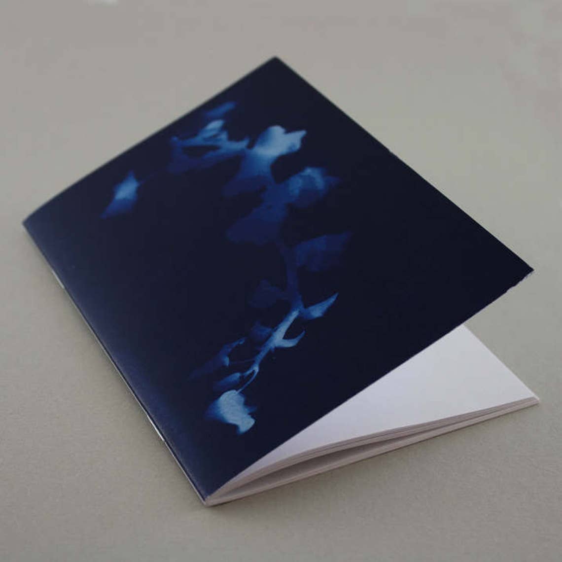 A6 Cyanotype Notebook Plain Pages - Etsy