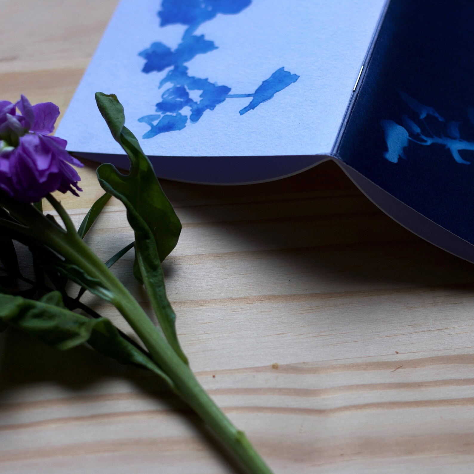 A6 Cyanotype Notebook Plain Pages | Etsy