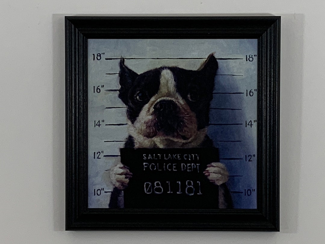 Pug Dog Print Framed,pug in Police Lineup,cute Funny Dog Print Framed ...