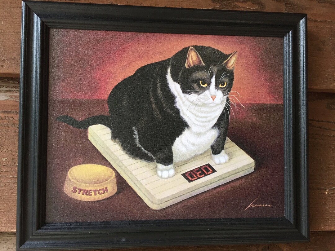 Cute, Funny, Fat Cat on Scale Weighing Himself, Framed Picture, Wall ...
