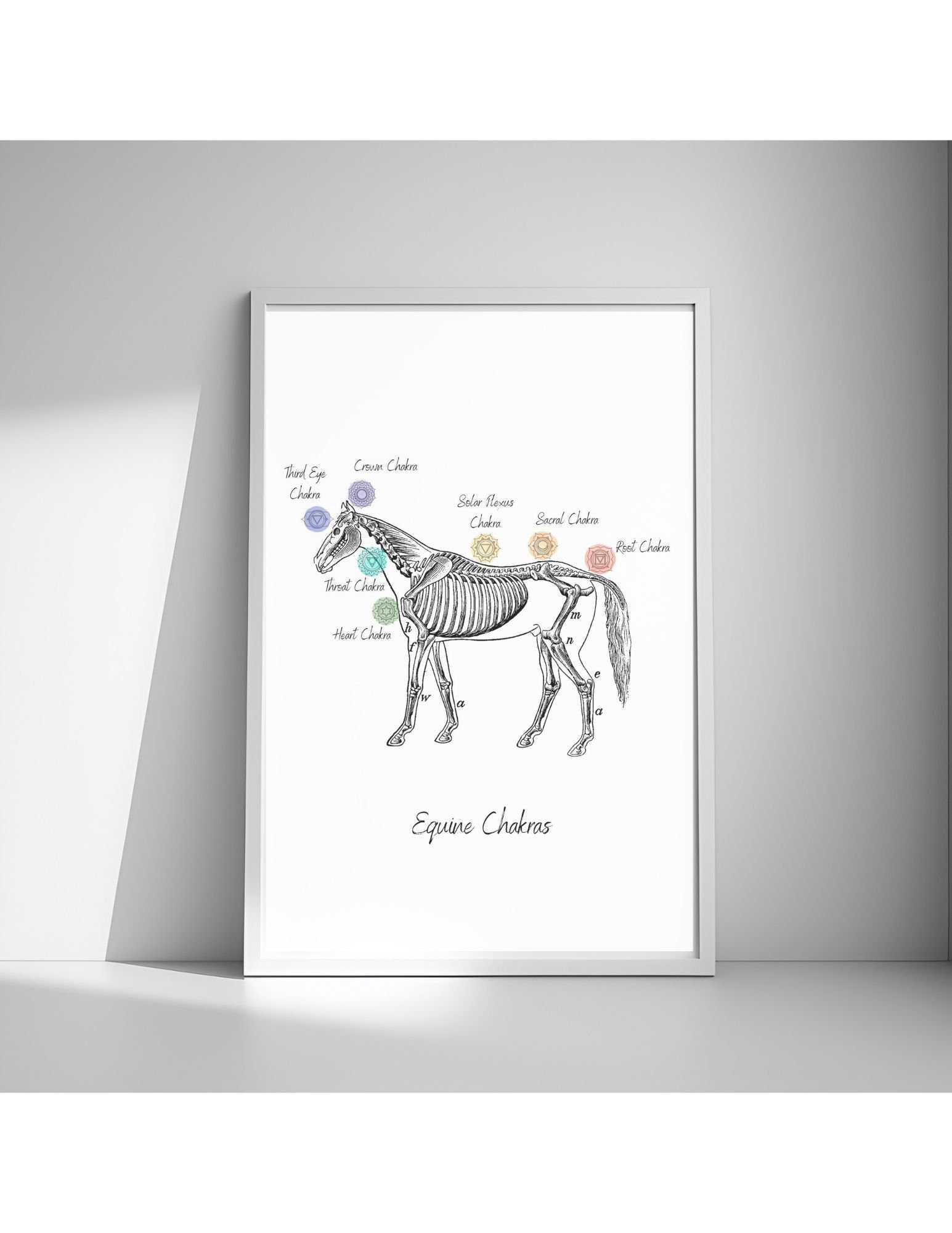 Equine Chakras Art, Chakras Print, Meditation Art, Horse Chakras ...