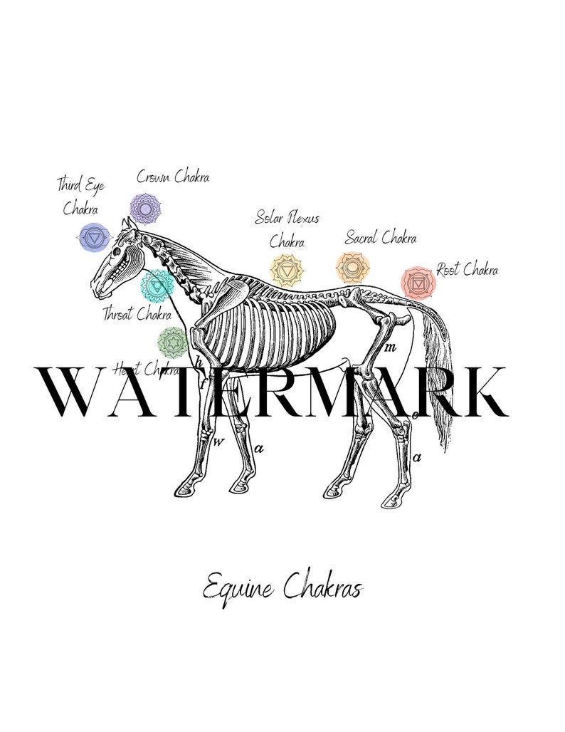 Equine Chakras Art, Chakras Print, Meditation Art, Horse Chakras ...