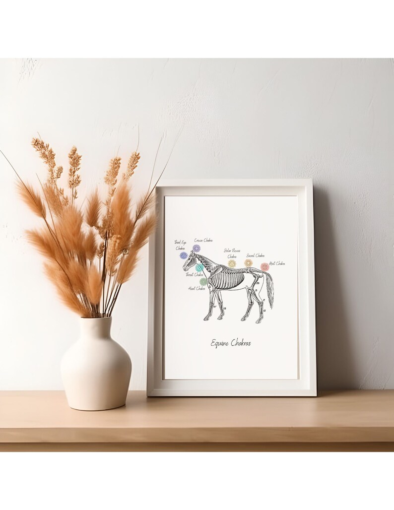 Equine Chakras Art, Chakras Print, Meditation Art, Horse Chakras ...