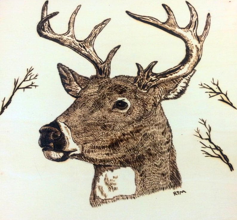 Custom Pyrography Wildlife Portraits - Etsy