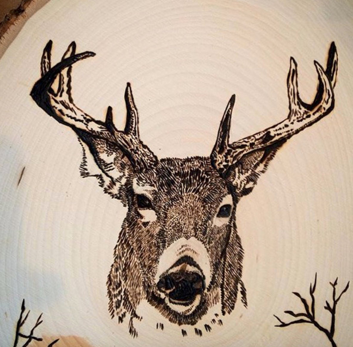 Custom Pyrography Wildlife Portraits - Etsy Sweden