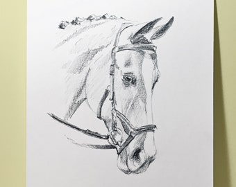 Horse Graphite Art - Etsy