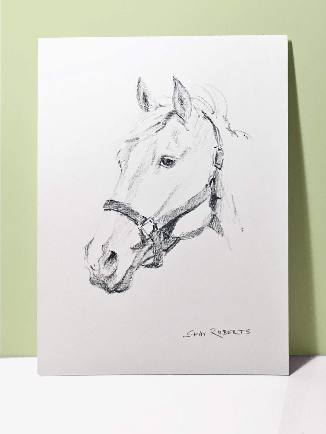 Horse Portrait Custom Sketch/5x7 Pencil Sketch/graphite Art/horse Gift ...