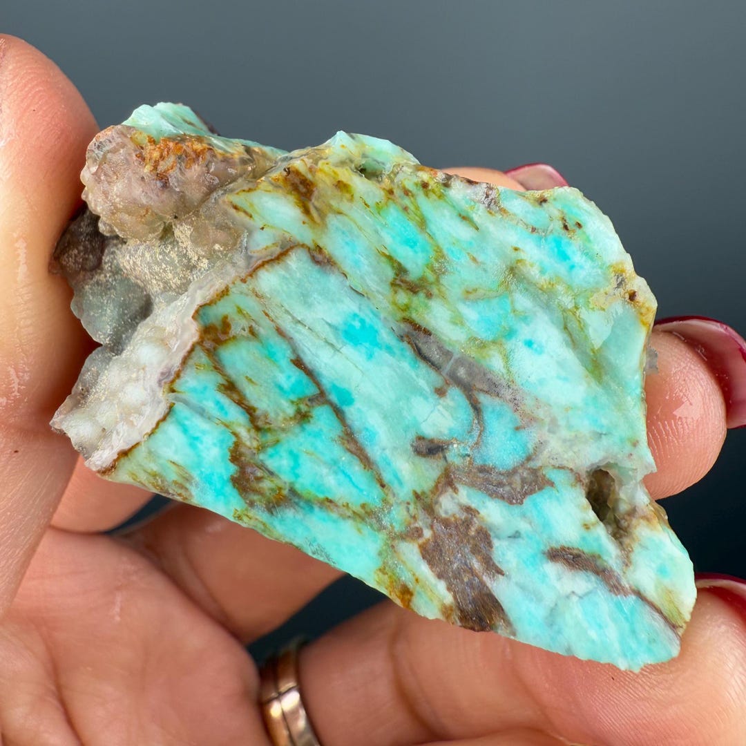 Natural Collawood (colla Petrified Wood) With Chrysocolla - Etsy