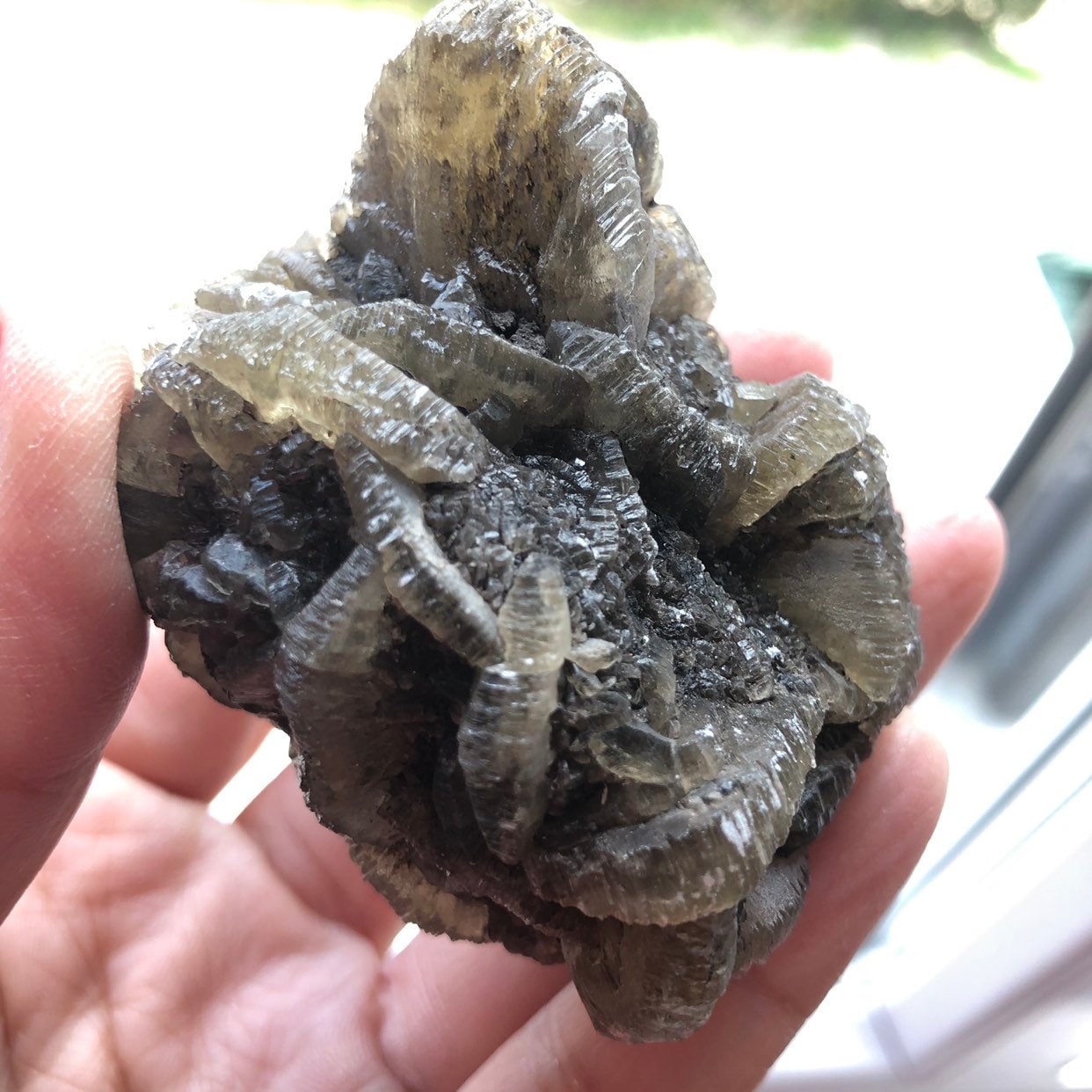 Yellow Gypsum Rosettes Mineral Specimen | Etsy