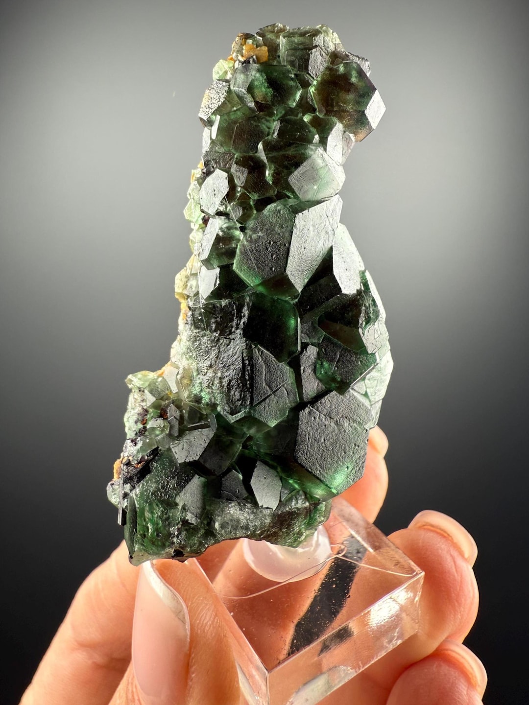 Perfect Piece! Fluorite Crystal, Erongo, Namibia - Etsy