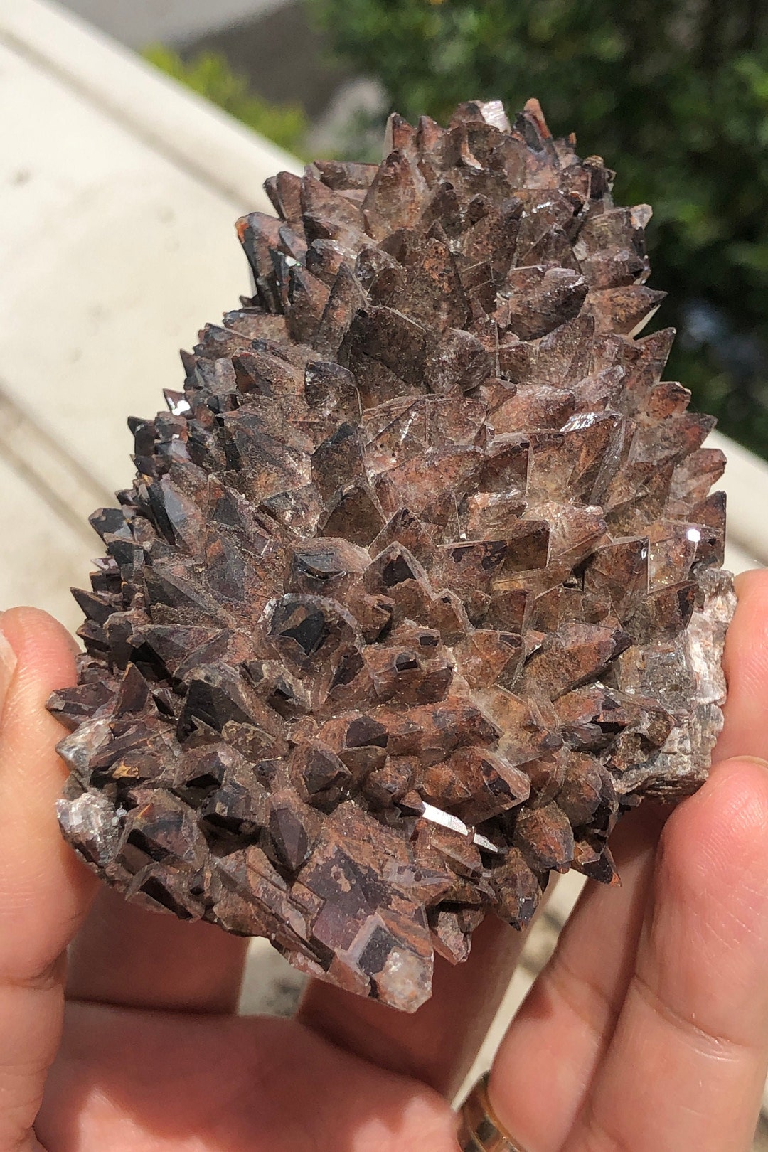 Reddish Brown Hematoid Dog Tooth Calcite Crystal Cluster From Mexico ...