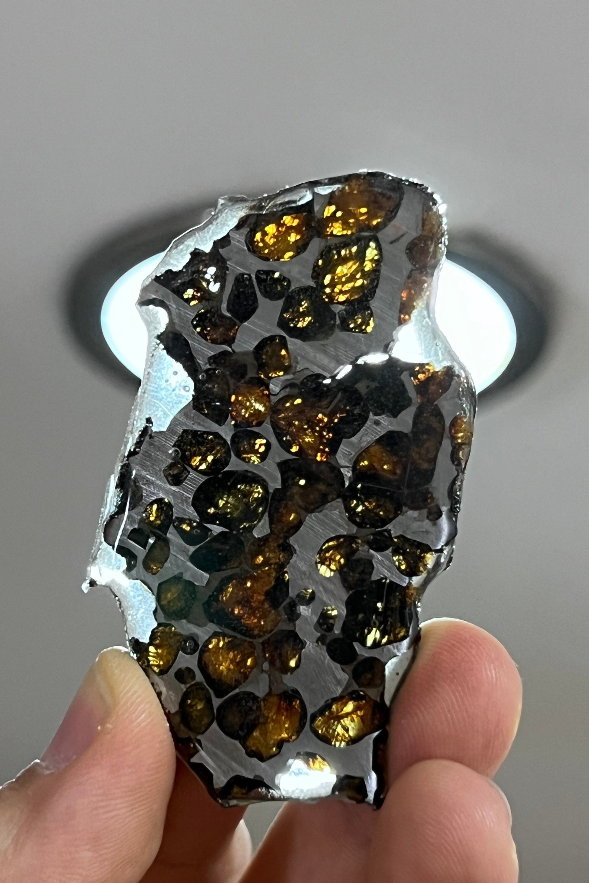Pallasite Meteorite | ubicaciondepersonas.cdmx.gob.mx