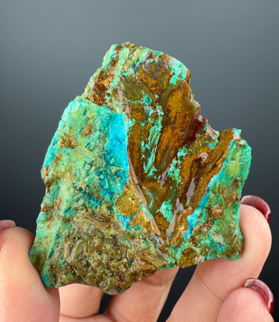 Natural Collawood colla Petrified Wood With Chrysocolla and Malachite ...