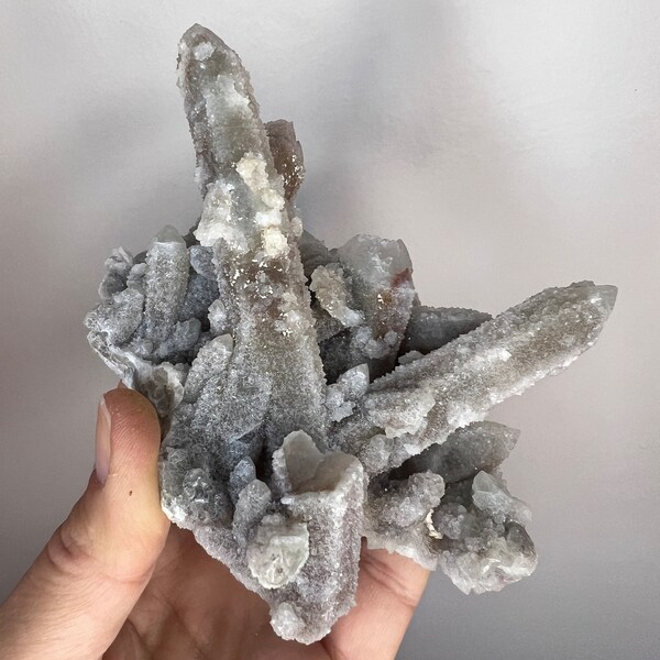 Witches Finger - Etsy