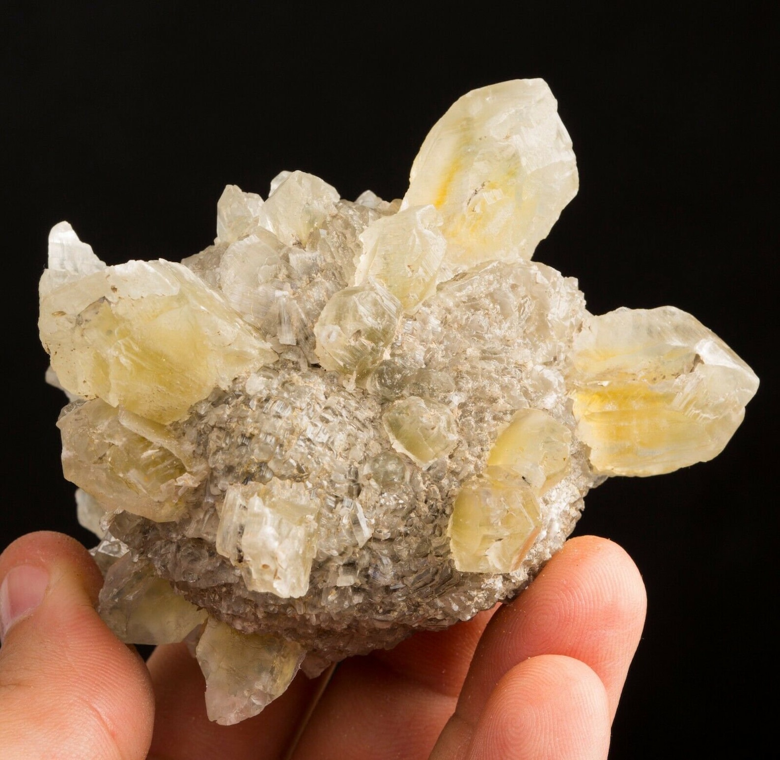 Yellow Gypsum Rosettes Mineral Specimen - Etsy