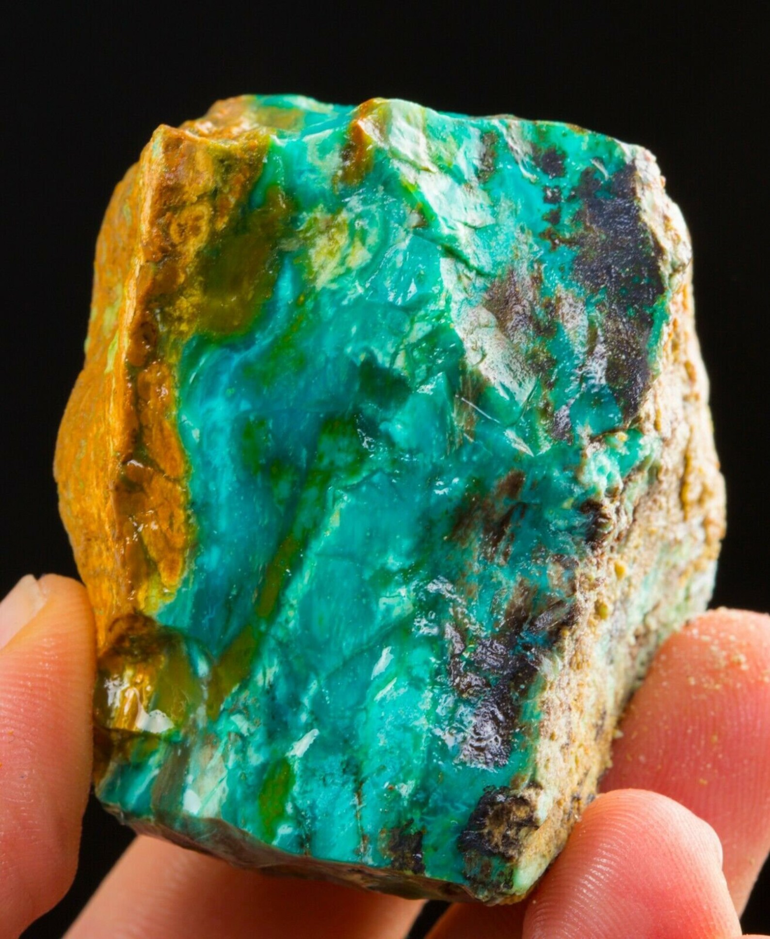 Rare Piece Natural Collawood Colla Petrified Wood with | Etsy