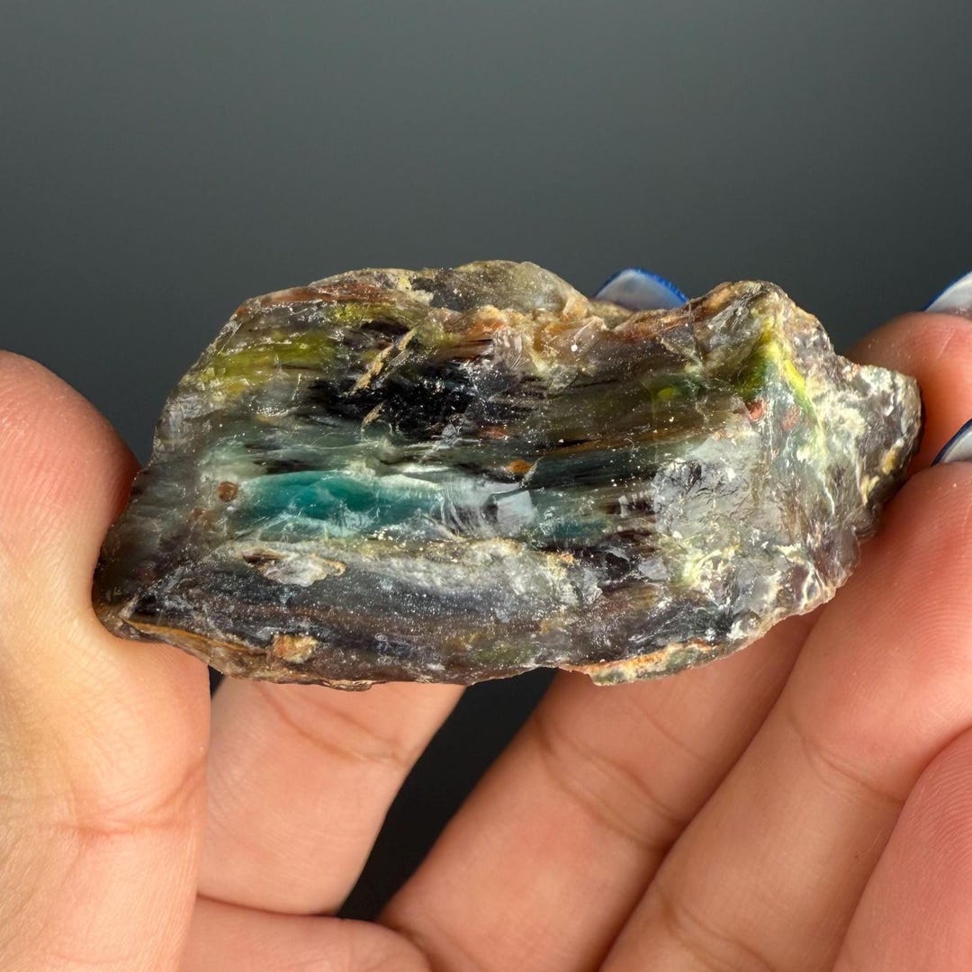 Natural Collawood (colla Petrified Wood) With Chrysocolla and Malachite ...