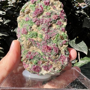 Beautiful Sample for Pyrope Garnet With Chrom Diopsite Specimen - Etsy