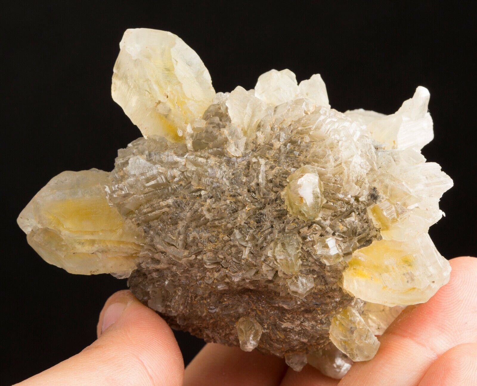 Yellow Gypsum Rosettes Mineral Specimen | Etsy