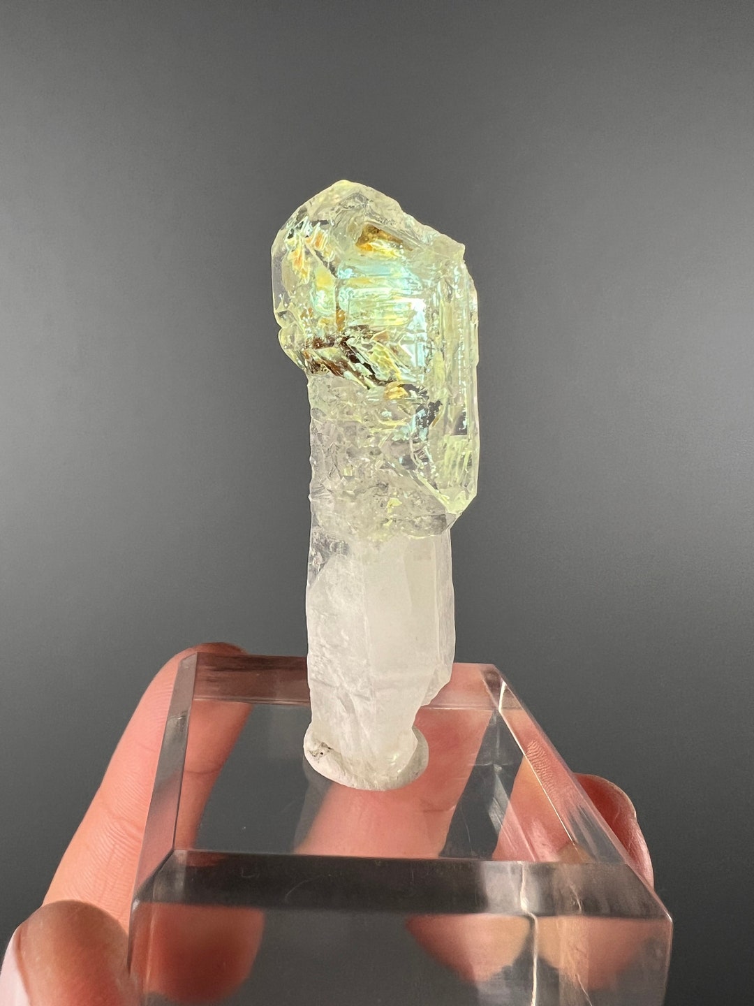 Scepter Firefly Quartz , Golden Enhydro UV Reactive Petroleum Included ...