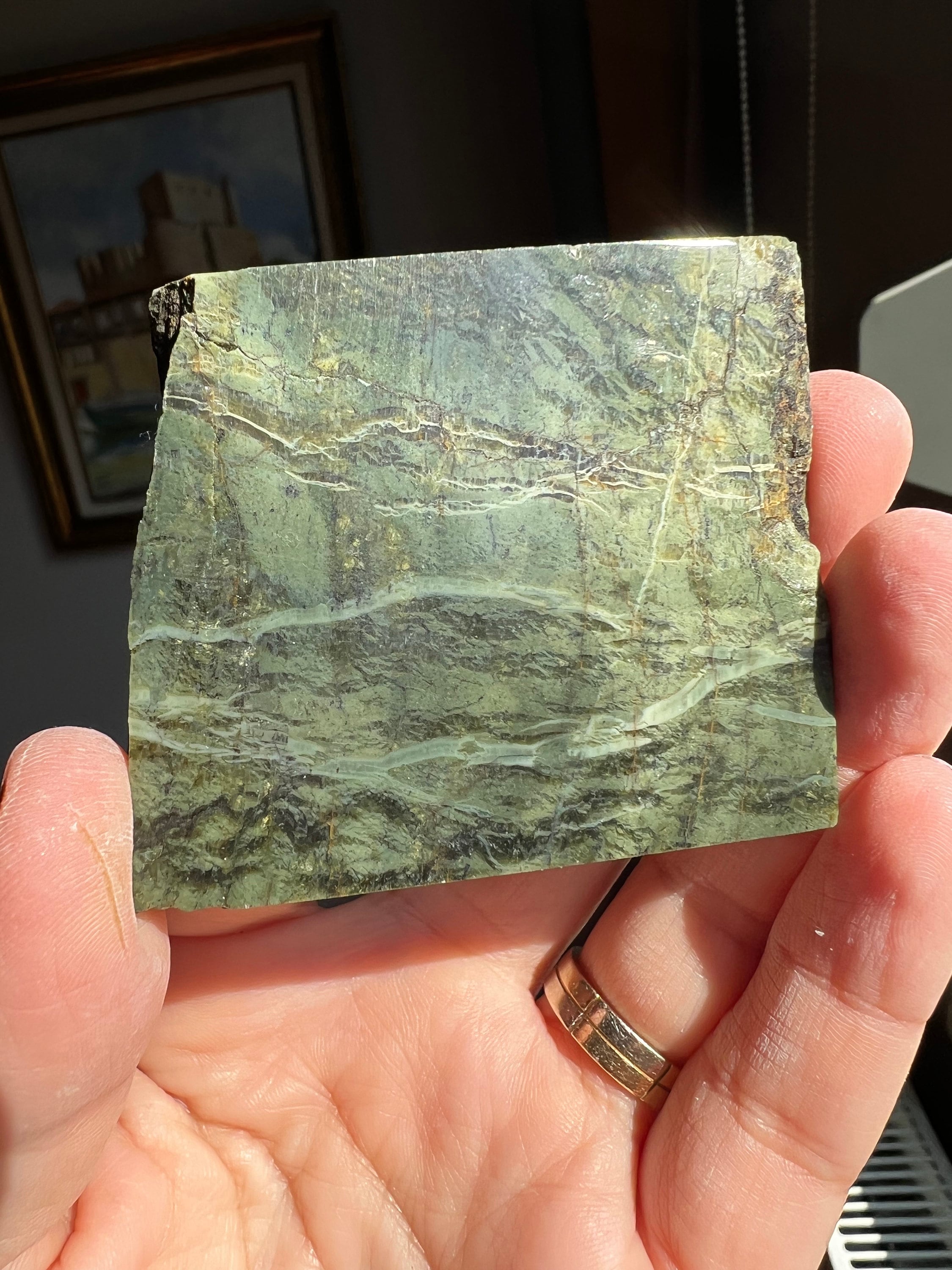 Home & Living Pietersite Slab with Green Chatoyant Colors Green ...