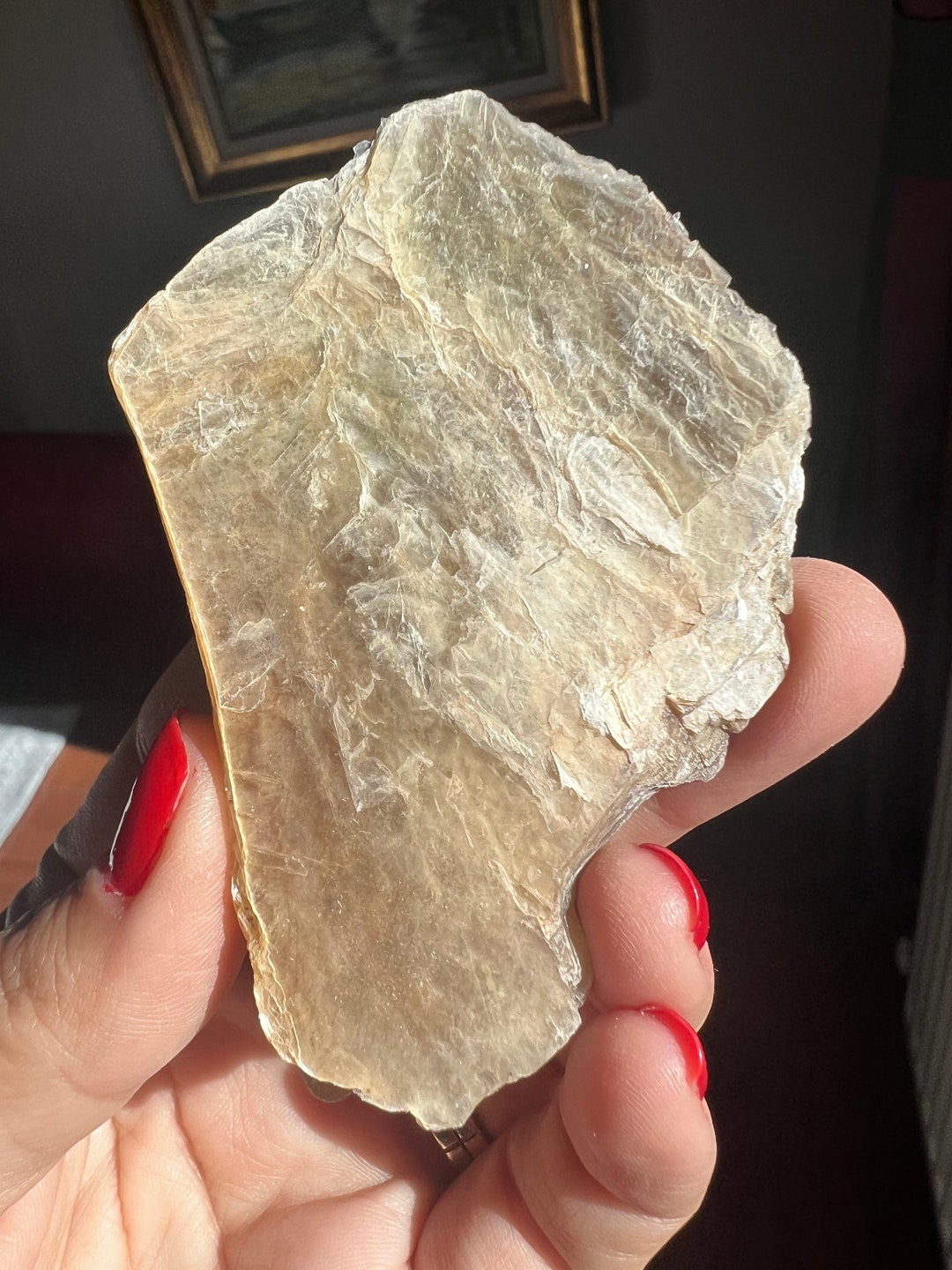 New Arrivalmuscovite Mineral Specimen muscovite Crystals - Etsy