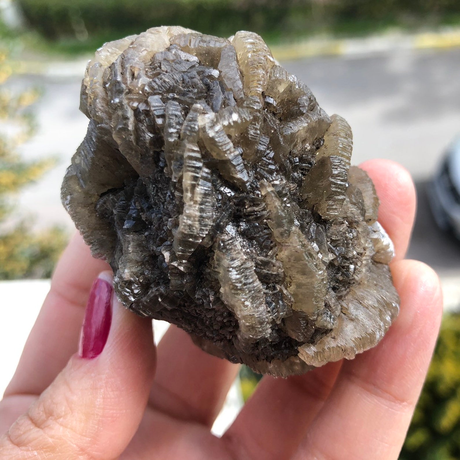 Yellow Gypsum Rosettes Mineral Specimen - Etsy