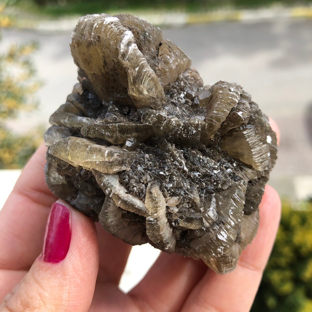 Yellow Gypsum Rosettes Mineral Specimen - Etsy