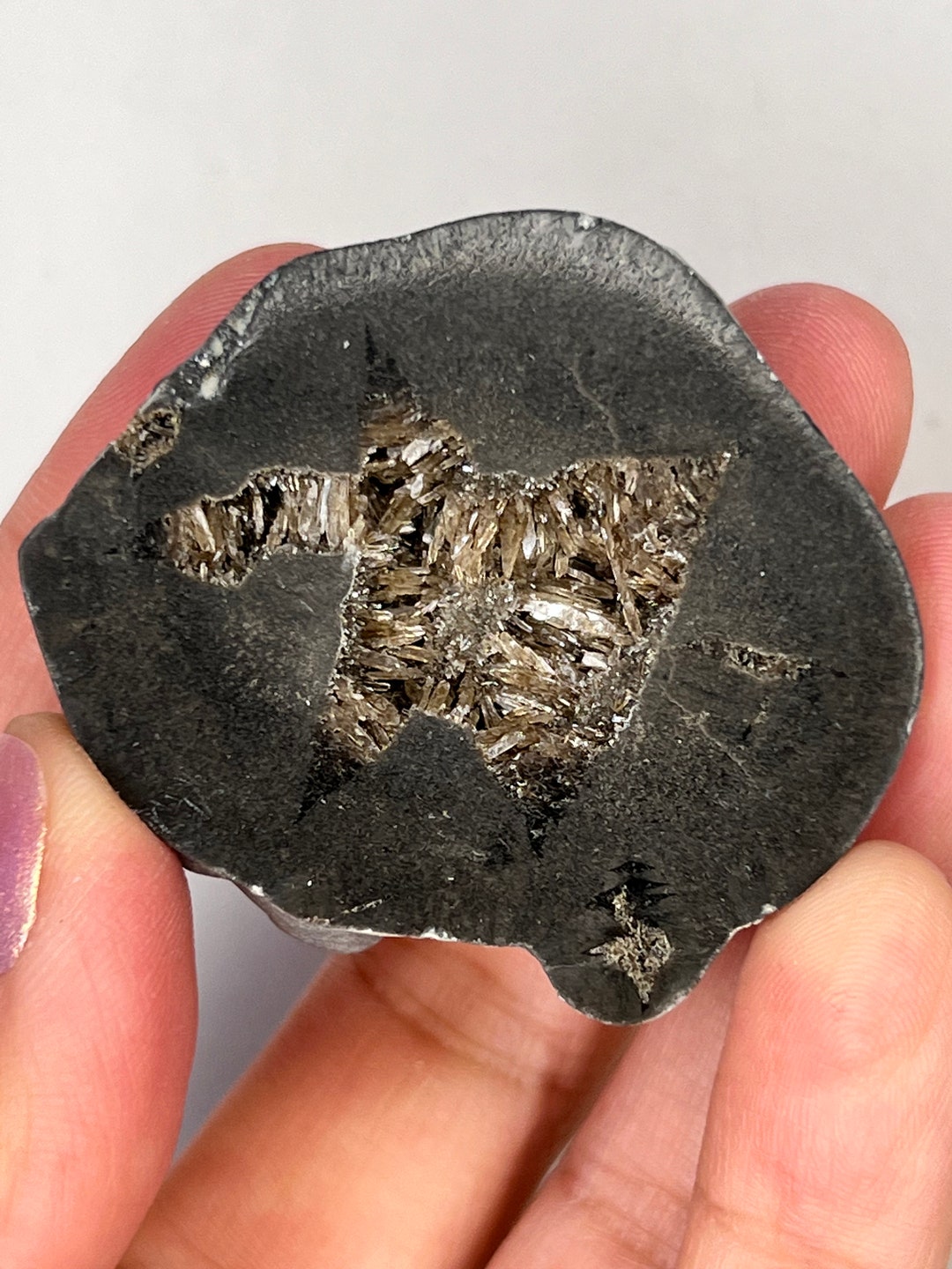 Rarestunning Septerian Barite Geode From France - Etsy