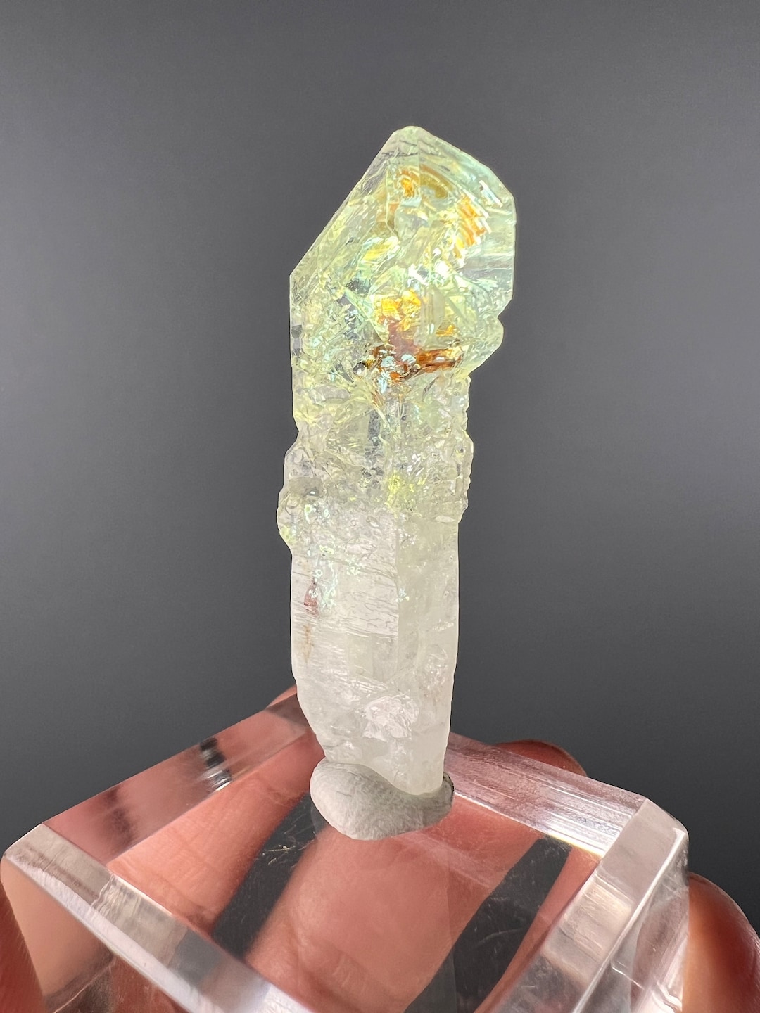 Scepter Firefly Quartz , Golden Enhydro UV Reactive Petroleum Included ...