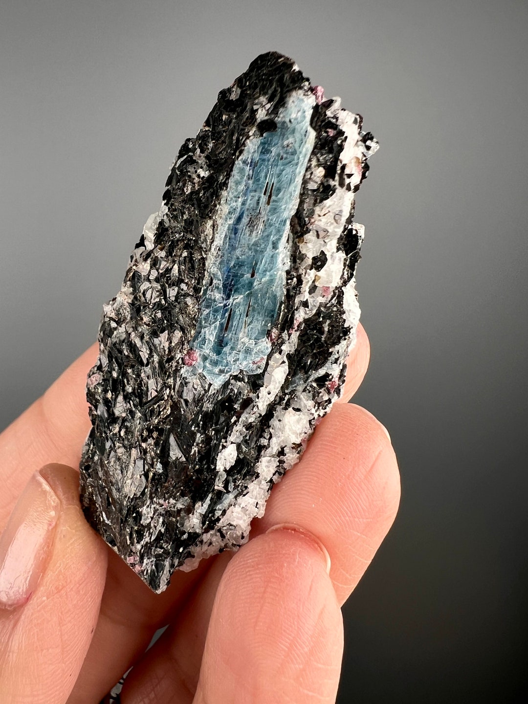 Perfect Sample for Rare Blue Kyanite With Garnet Mineral Specimen - Etsy
