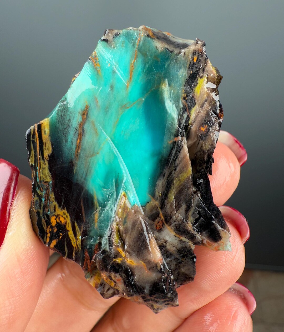 Natural Collawood (colla Petrified Wood) With Chrysocolla and Malachite ...