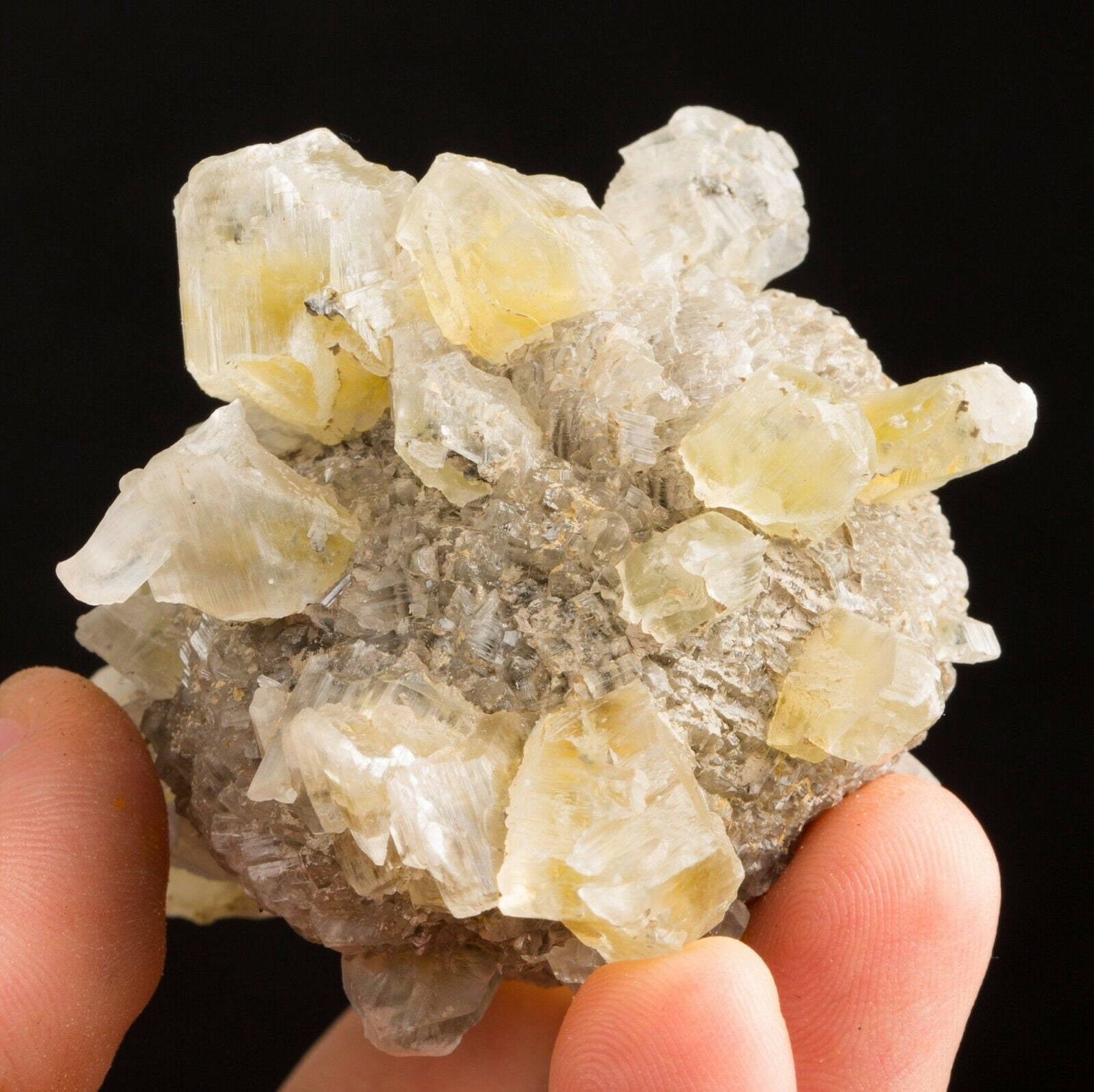 Yellow Gypsum Rosettes Mineral Specimen | Etsy