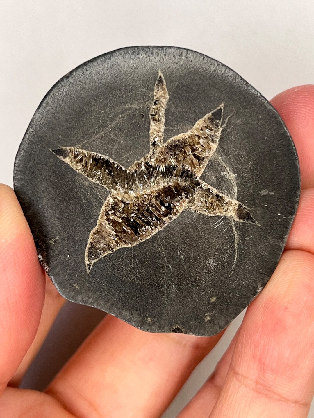 New Arrivalrarestunning Septerian Barite Geode From France - Etsy