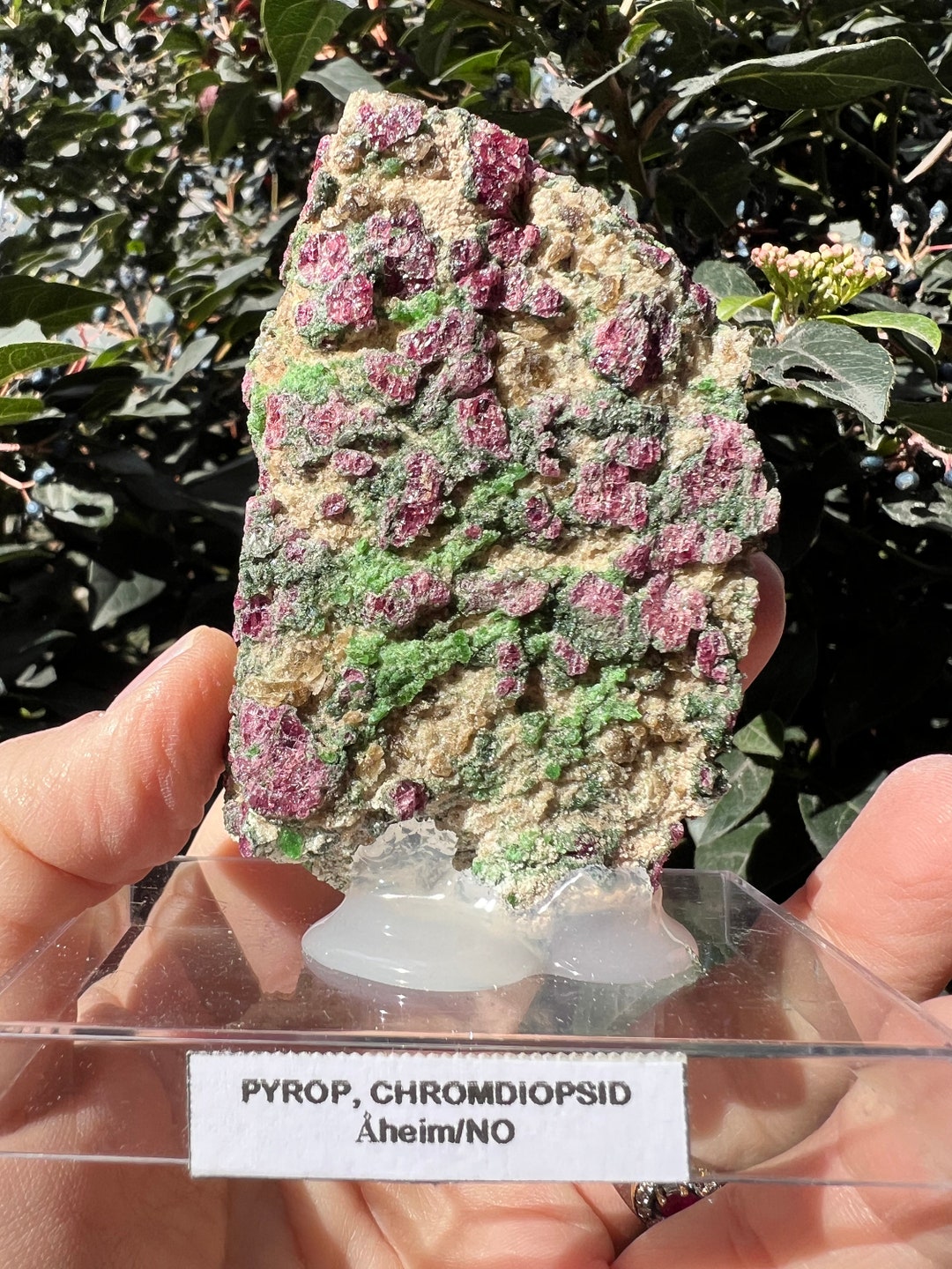 Beautiful Sample for Pyrope Garnet With Chrom Diopsite Specimen - Etsy