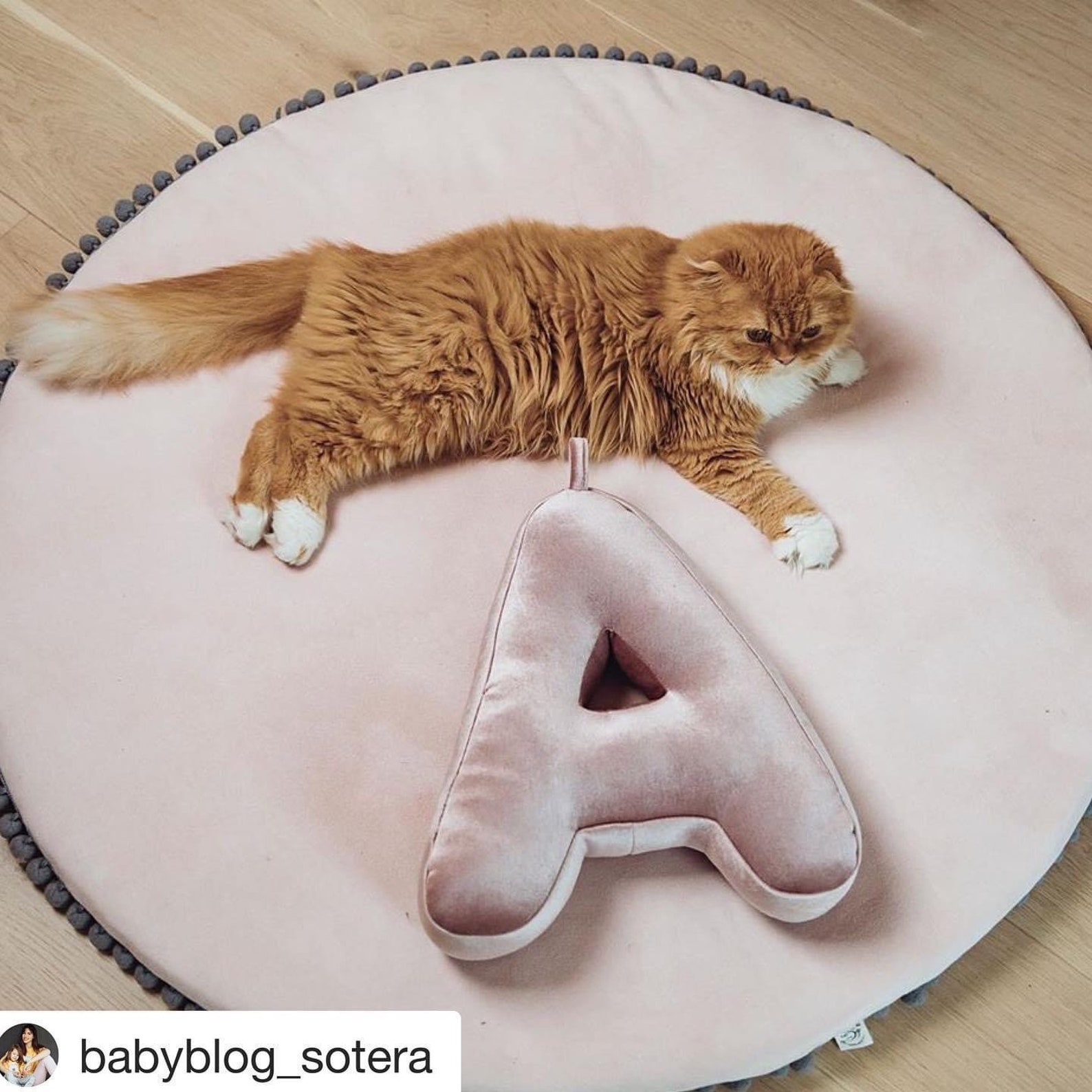 Padded Baby Mat Padded Play Mat Baby Mat Baby Gym Mat | Etsy