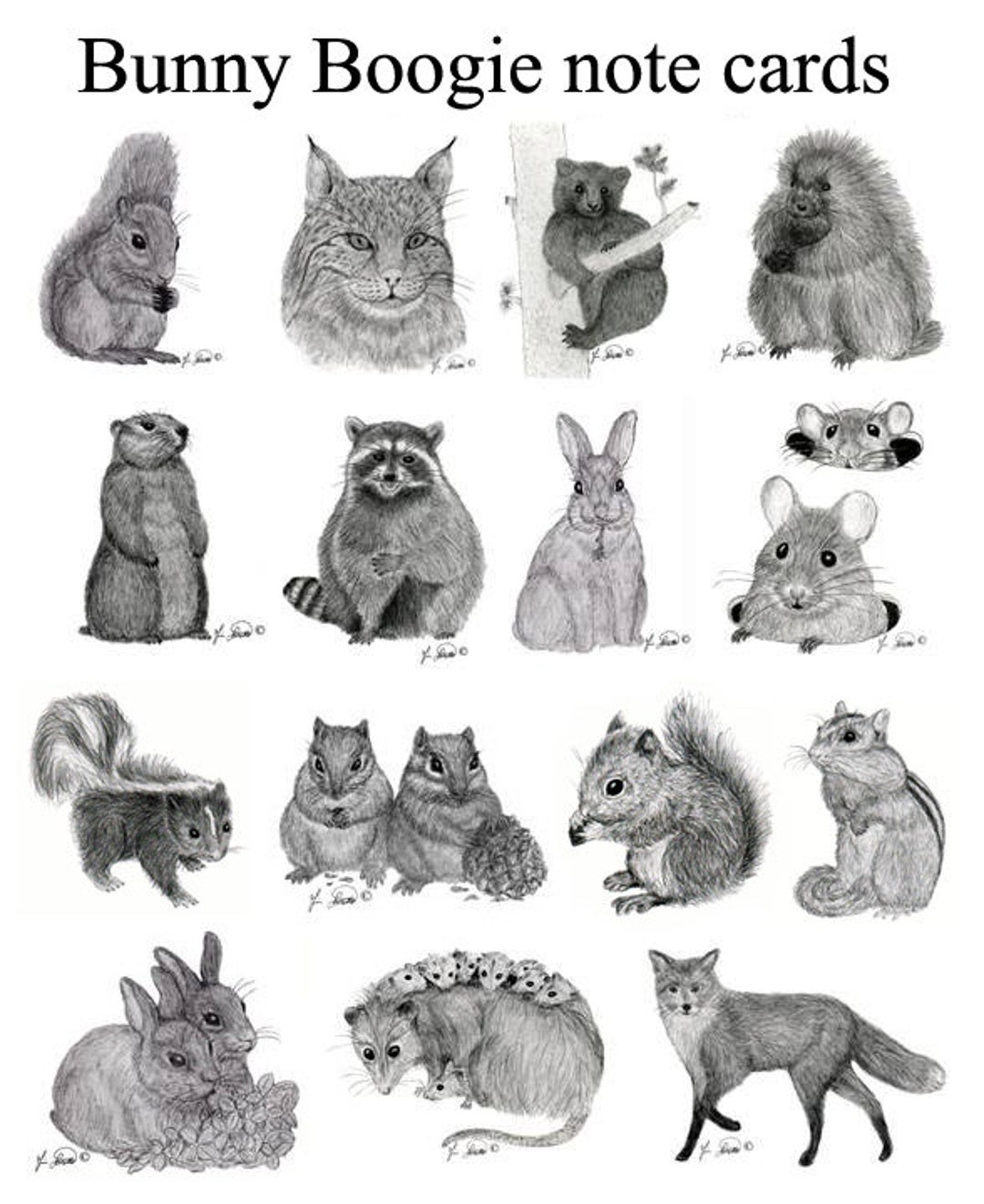 15 Note Cards With Envelopes, Wildlife Prints, Squirrel, Raccoon, Mice ...