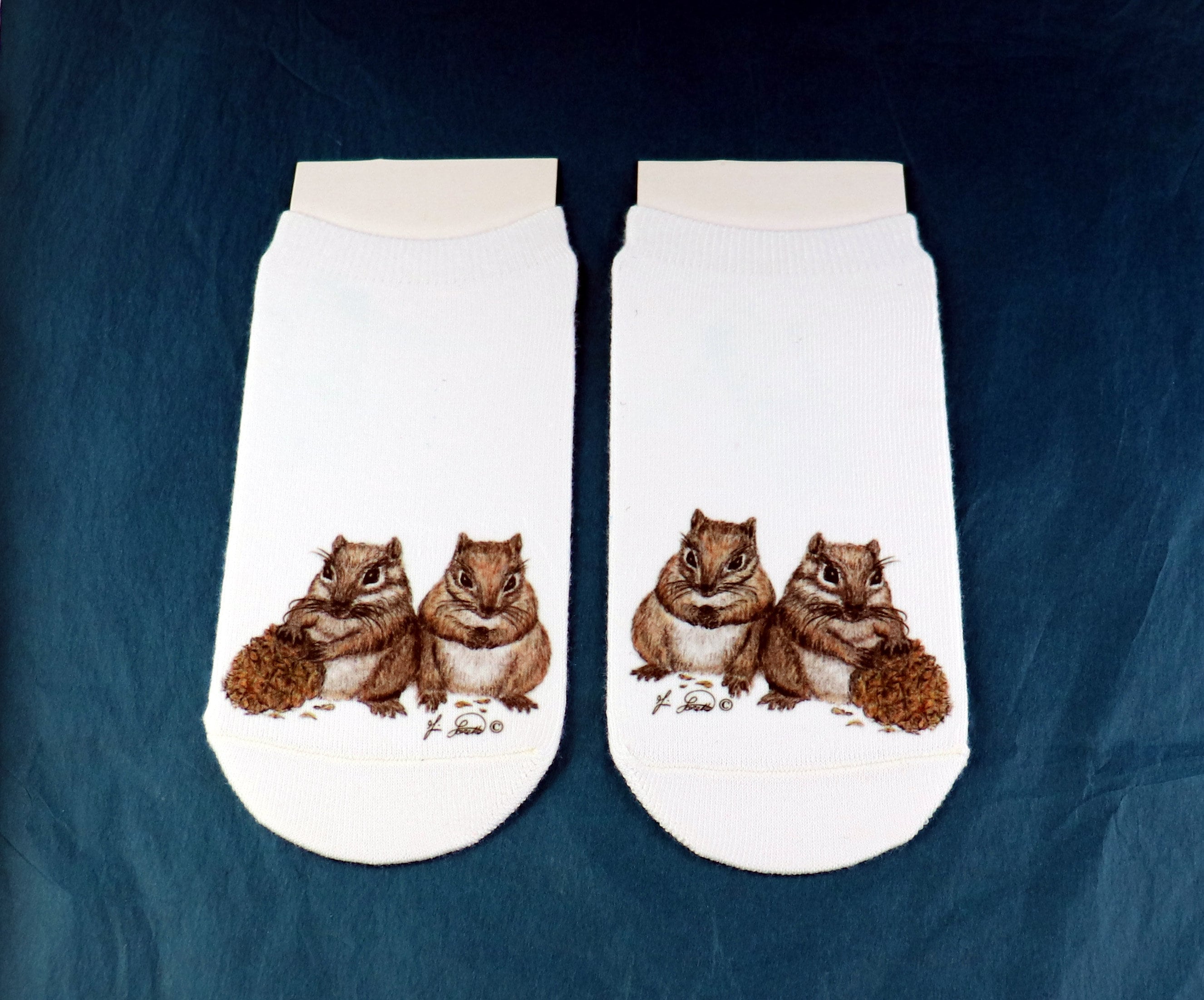 Women's Socks, Chipmunk Socks, Chipmunk Art, Print of Original Art ...