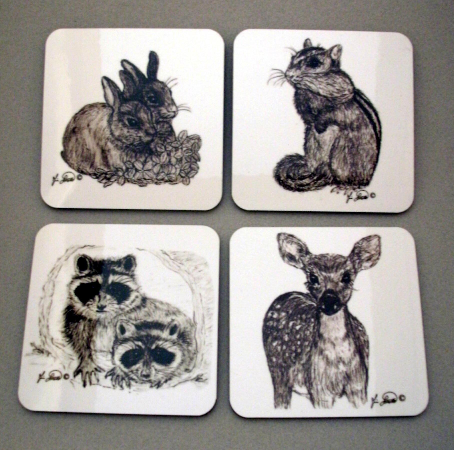 Coaster Set, 4 Wildlife Coasters, for Hot or Cold Beverages, Prints of ...