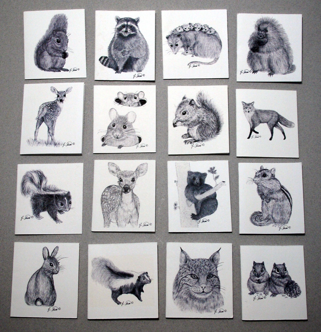 VT Wildlife Art, Prints of Original Art, 16 Gift Tags, Bunny Boogie ...