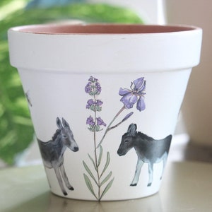 Donkey Gift Terracotta Plant Pot Donkey Lover Indoor Plant Pot - Etsy